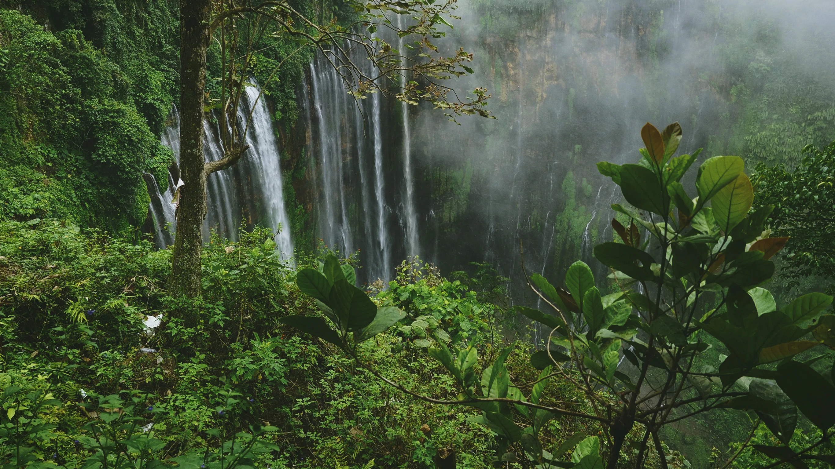 Digital transformation for a global organisation dedicated to solving ...